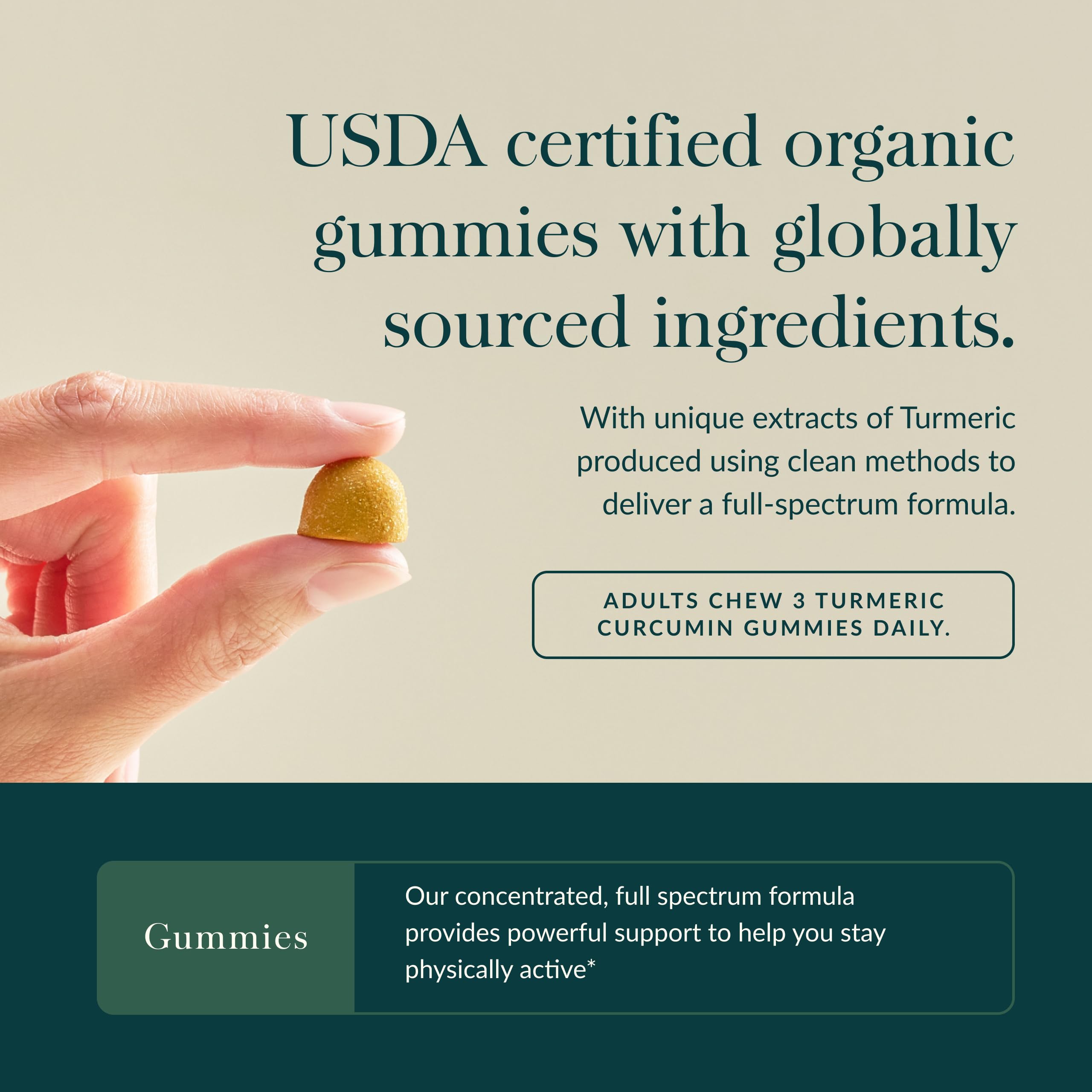 Gaia Herbs turmeric for everyday use