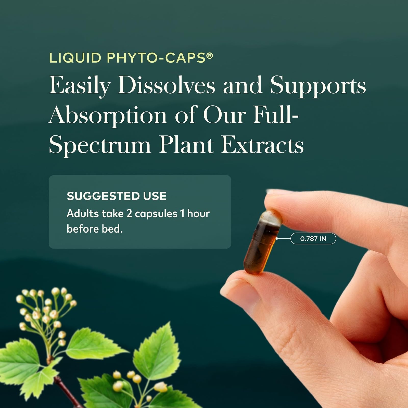 Gaia Herbs vegan sleep support