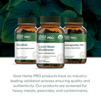 GAIA lion's mane mushroom extract