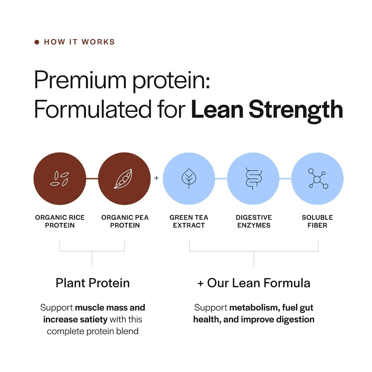 Gainful protein powder for smoothies