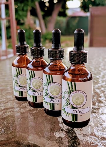 gallbladder support with herbal tincture