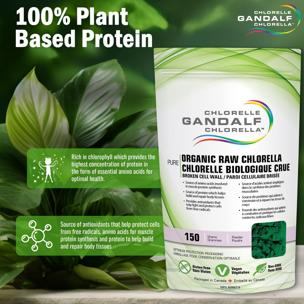 Gandalf chlorella for healthy digestion