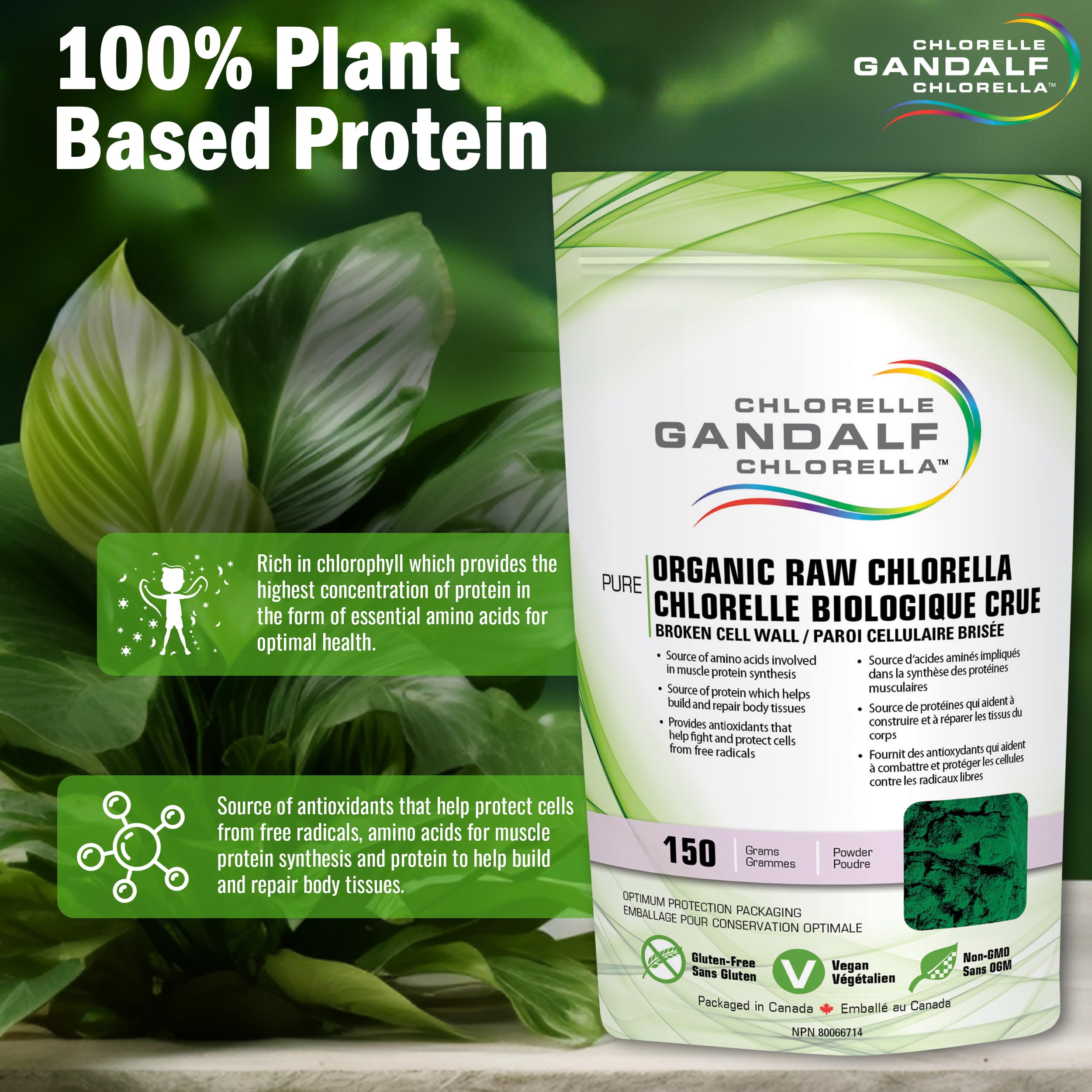 Gandalf chlorella for healthy digestion