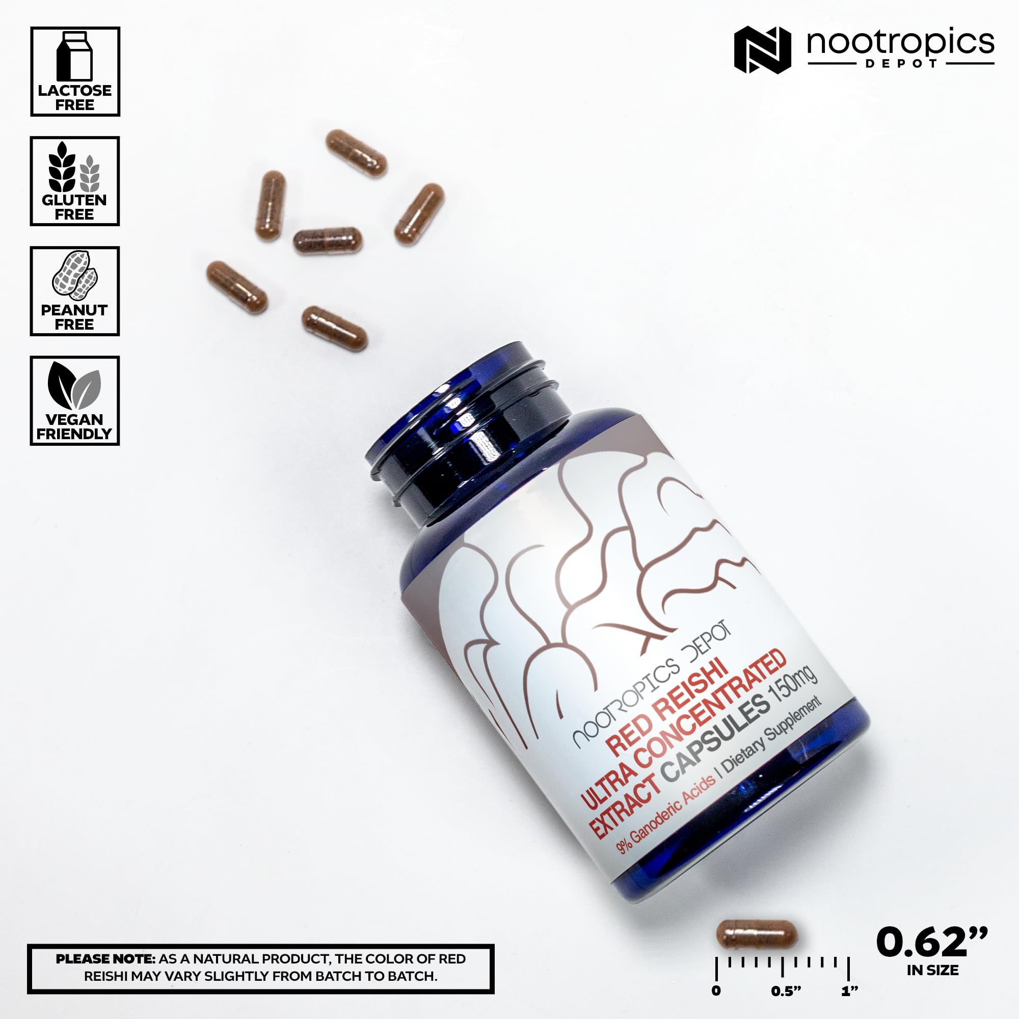 Ganoderic acids for enhanced vitality