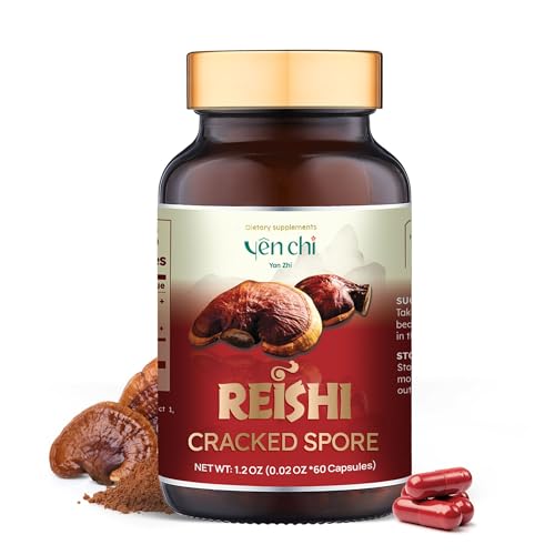 Ganoderma lucidum supplement for focus
