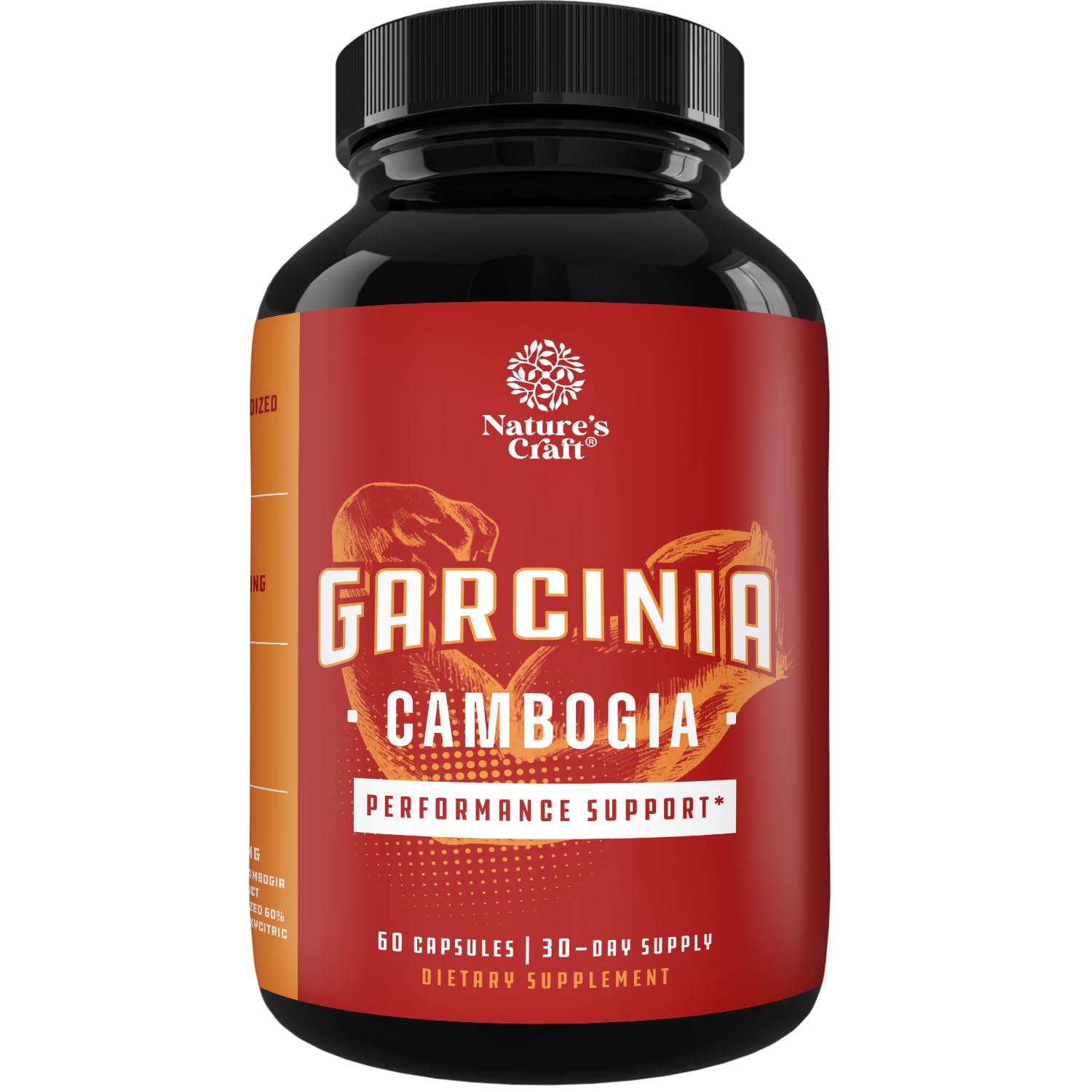 Garcinia Cambogia fat burners for weight loss