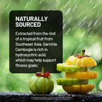 Garcinia Cambogia for healthy weight loss