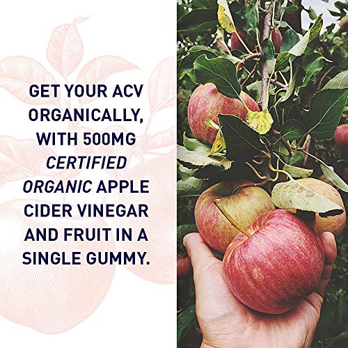 Garden of Life apple cider vinegar benefits