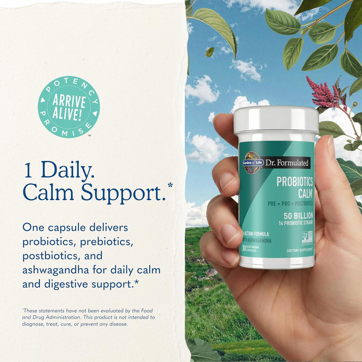 Garden of Life Calm probiotics capsules