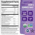 Garden of Life elderberry syrup alternative
