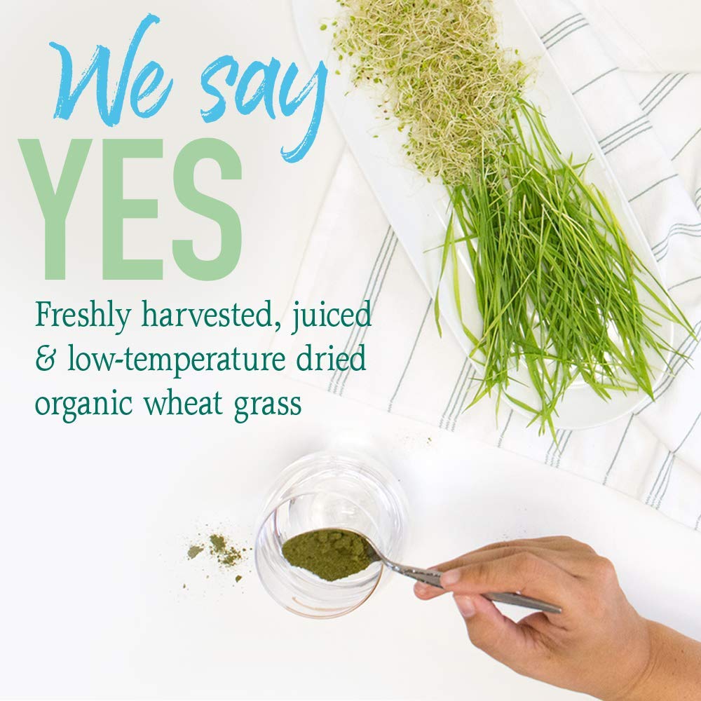 Garden of Life herbal wellness