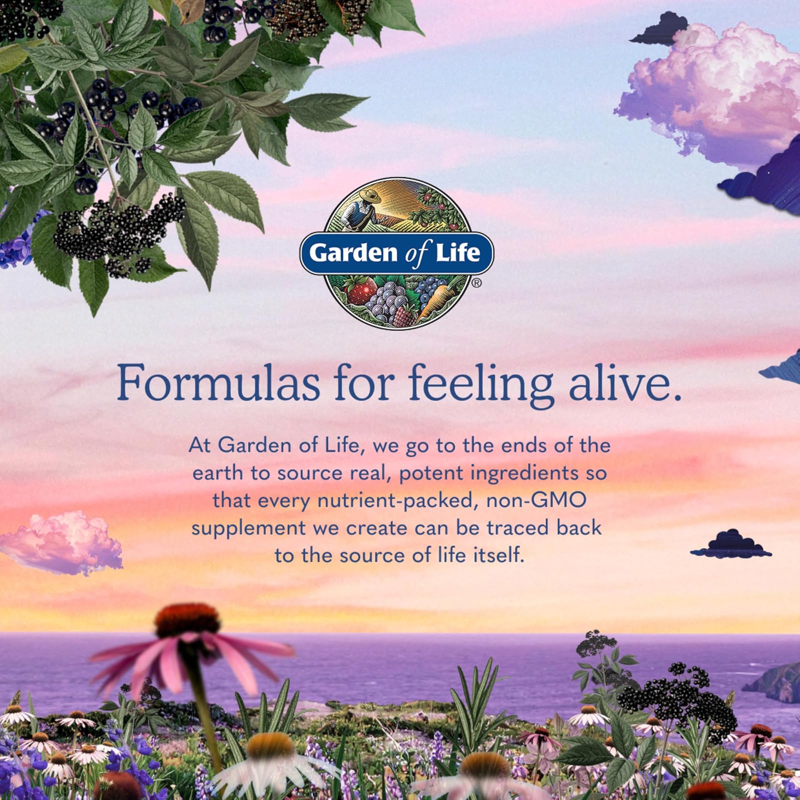 Garden of Life multivitamin for immune support