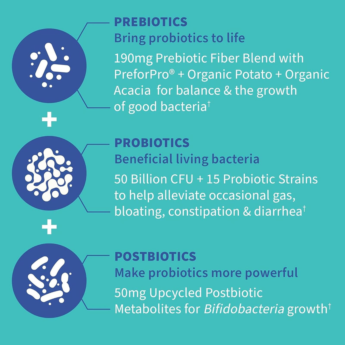 Garden of Life probiotic for immune health