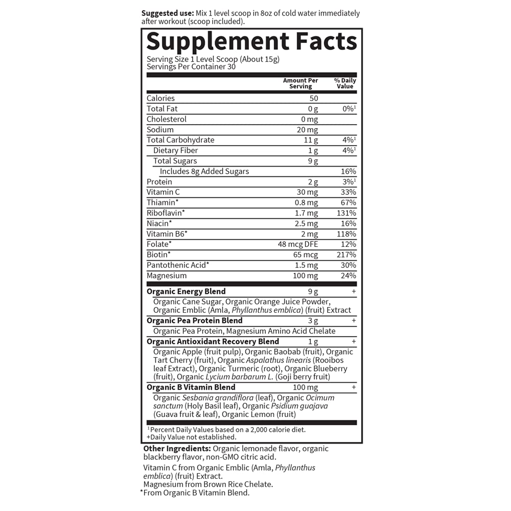 Garden of Life sport recovery mix