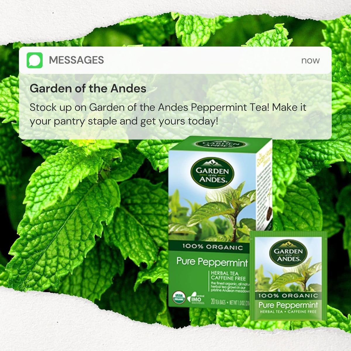 Garden of the Andes tea selection