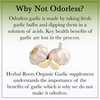 garlic capsules for antioxidant benefits