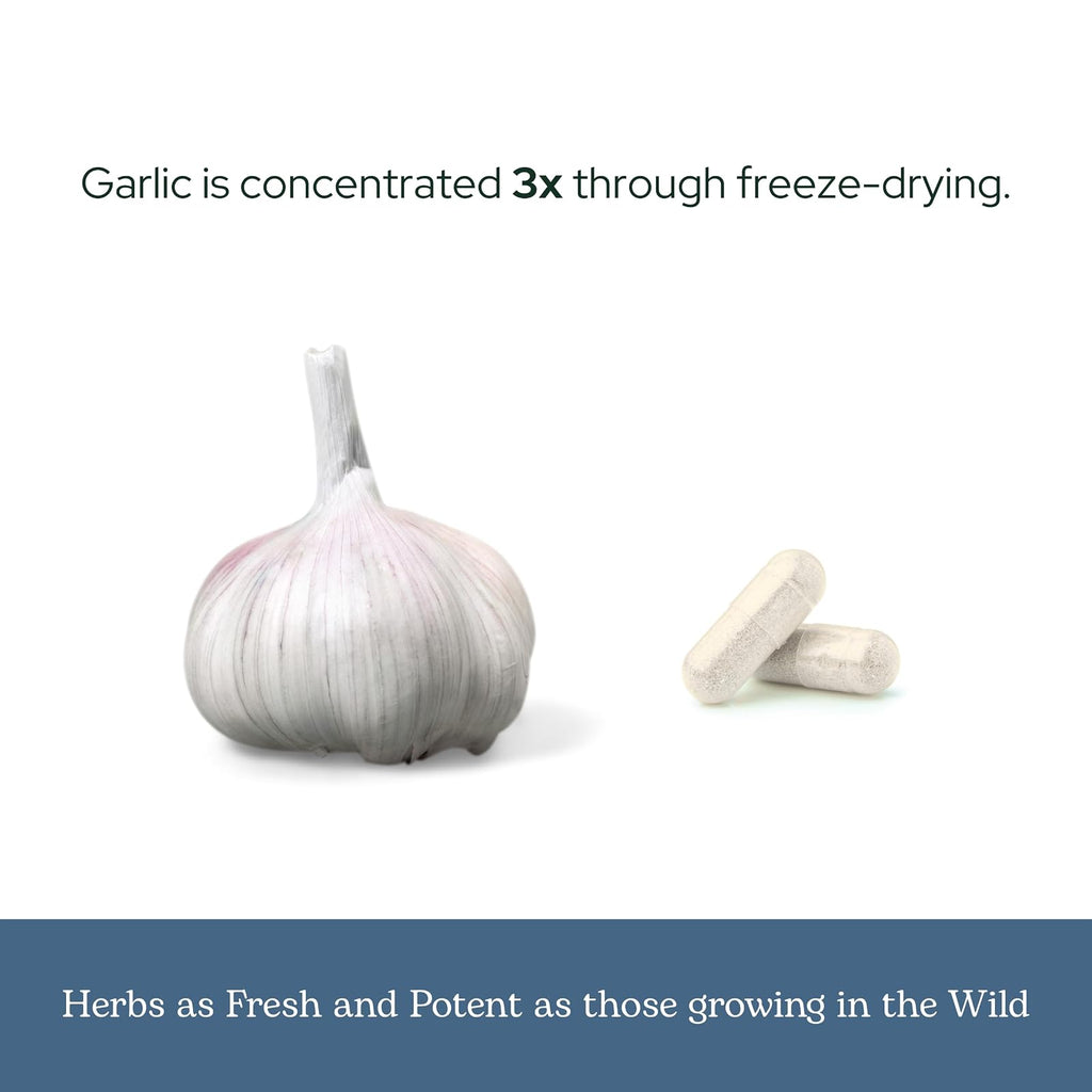 garlic capsules to boost energy levels