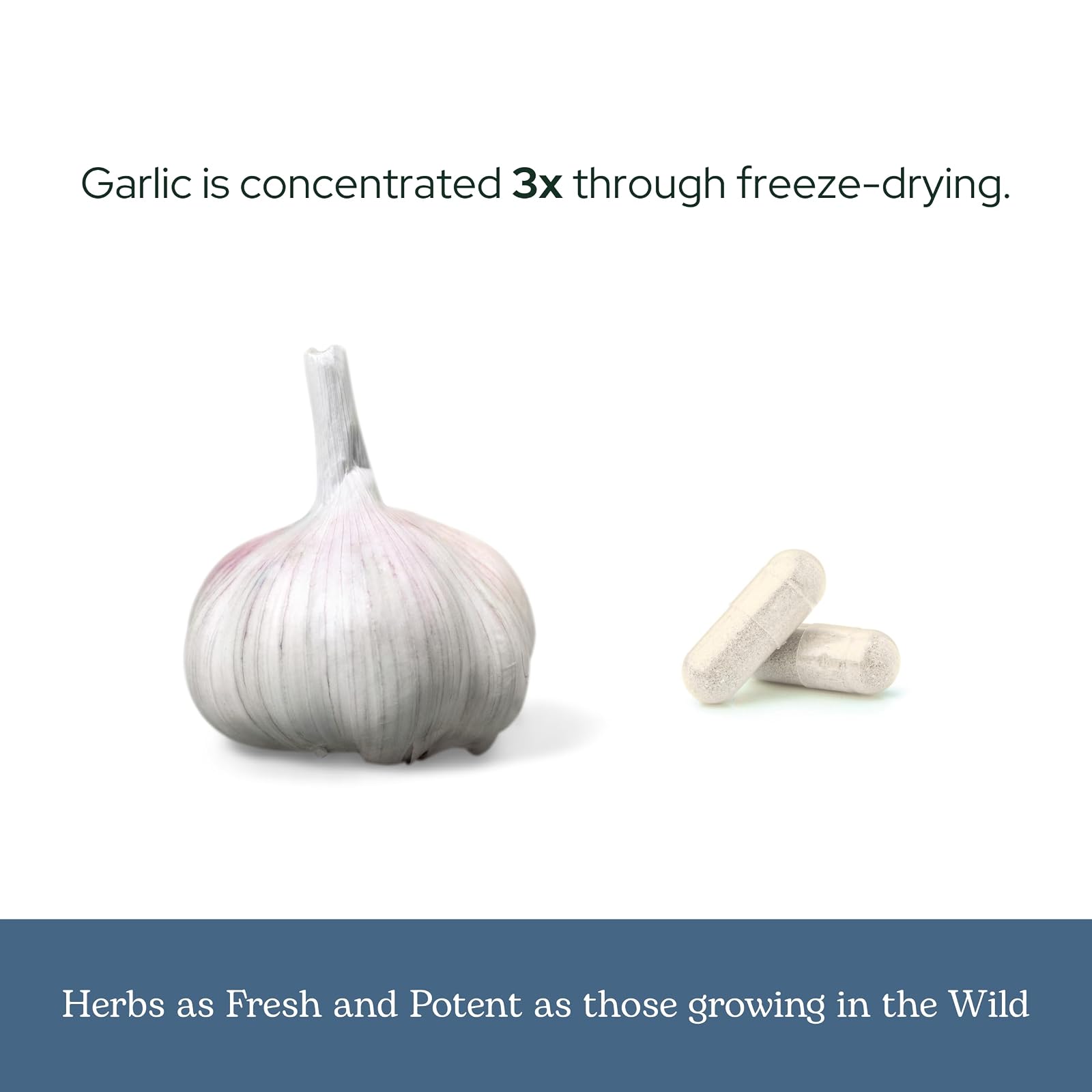 garlic capsules to boost energy levels
