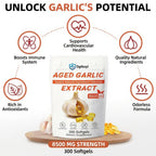 Garlic extract for antioxidant support