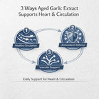 Garlic extract for cardiovascular wellness