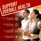 garlic extract for cholesterol support