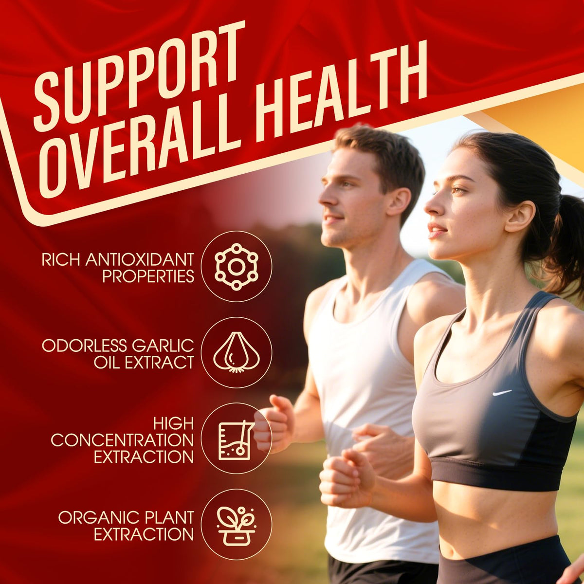 garlic extract for cholesterol support
