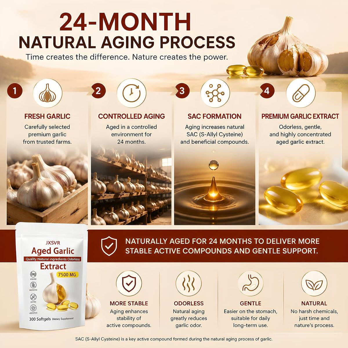 garlic extract for immune support