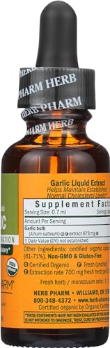 garlic extract to boost energy
