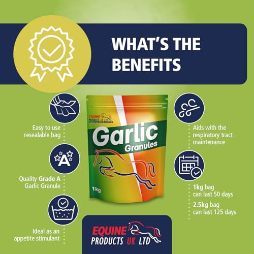 garlic for improved horse digestion