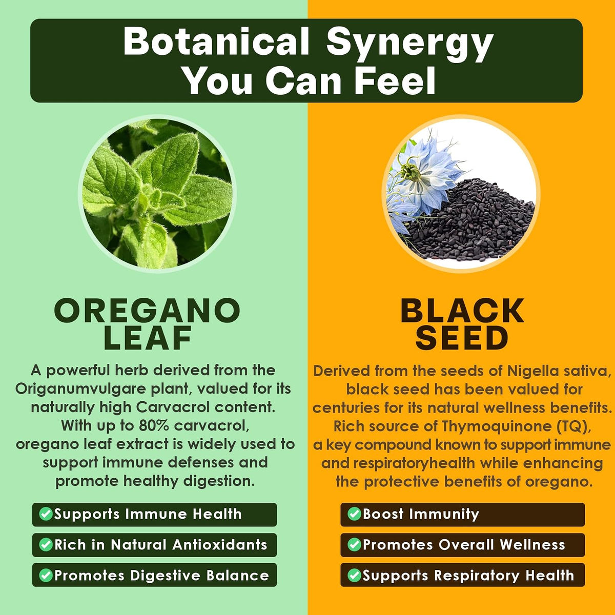 garlic infused oil of oregano supplement