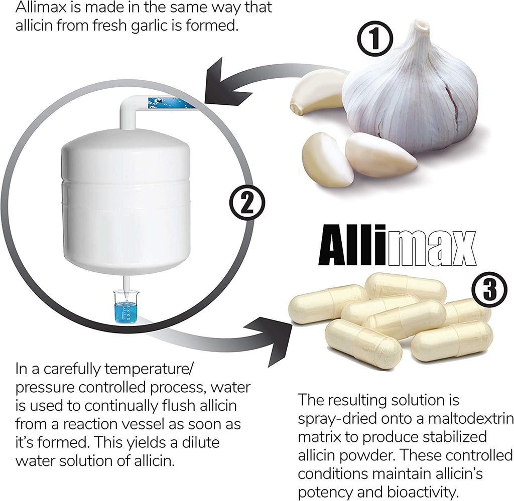 garlic supplement for antioxidant properties