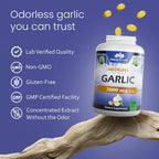 garlic supplement for daily wellness