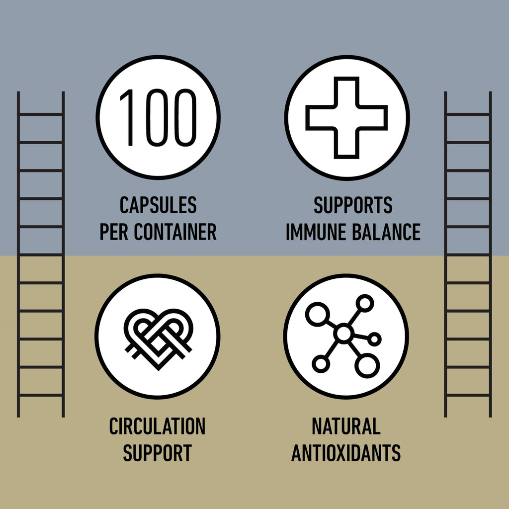 garlic supplement for healthy lifestyle