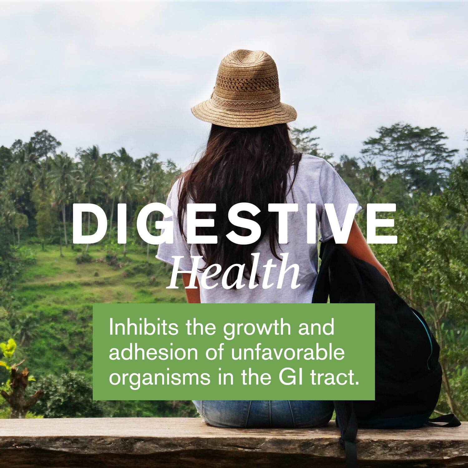 Gastro Health for everyday comfort