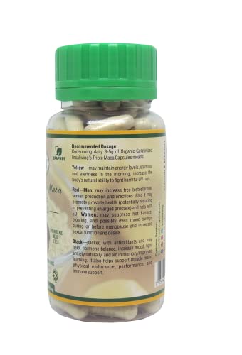 gelatinized maca for better absorption
