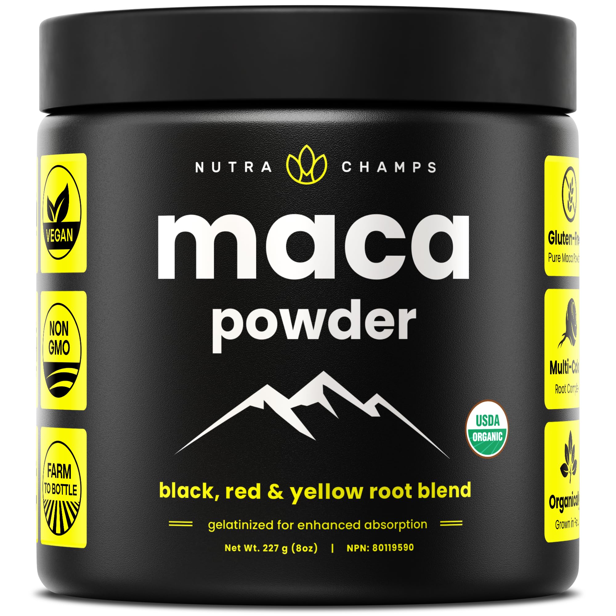 gelatinized maca powder benefits