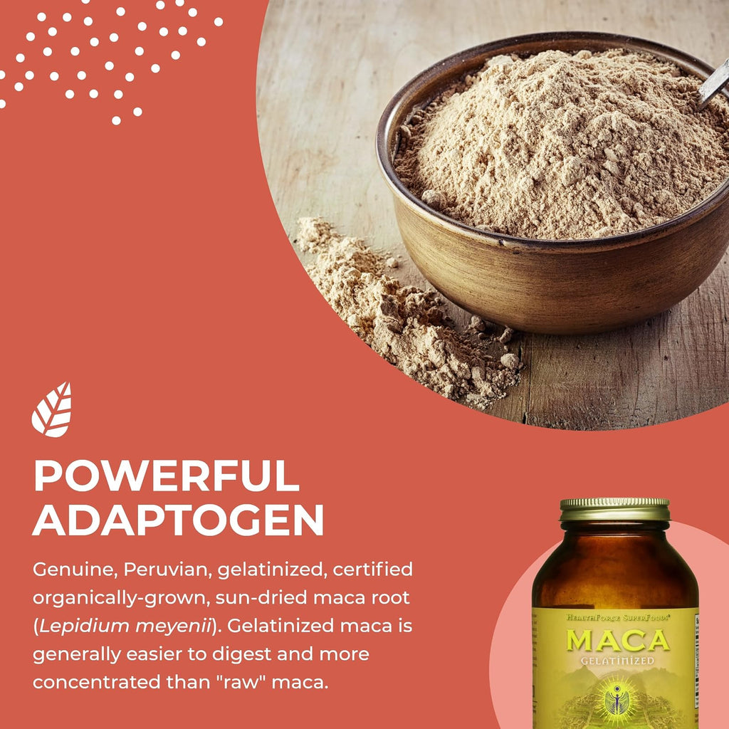 Gelatinized Maca powder for endurance