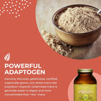 Gelatinized Maca powder for endurance