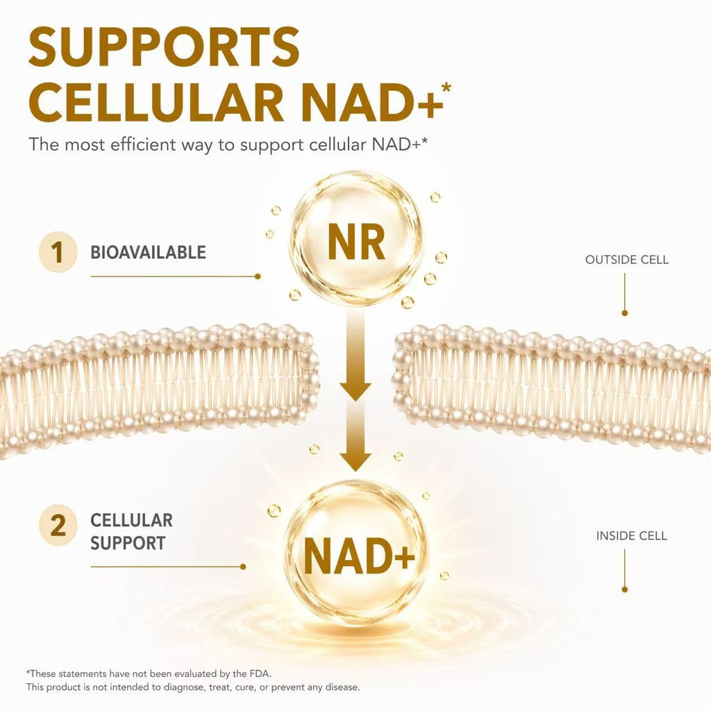 GenBench NAD+ for cellular health