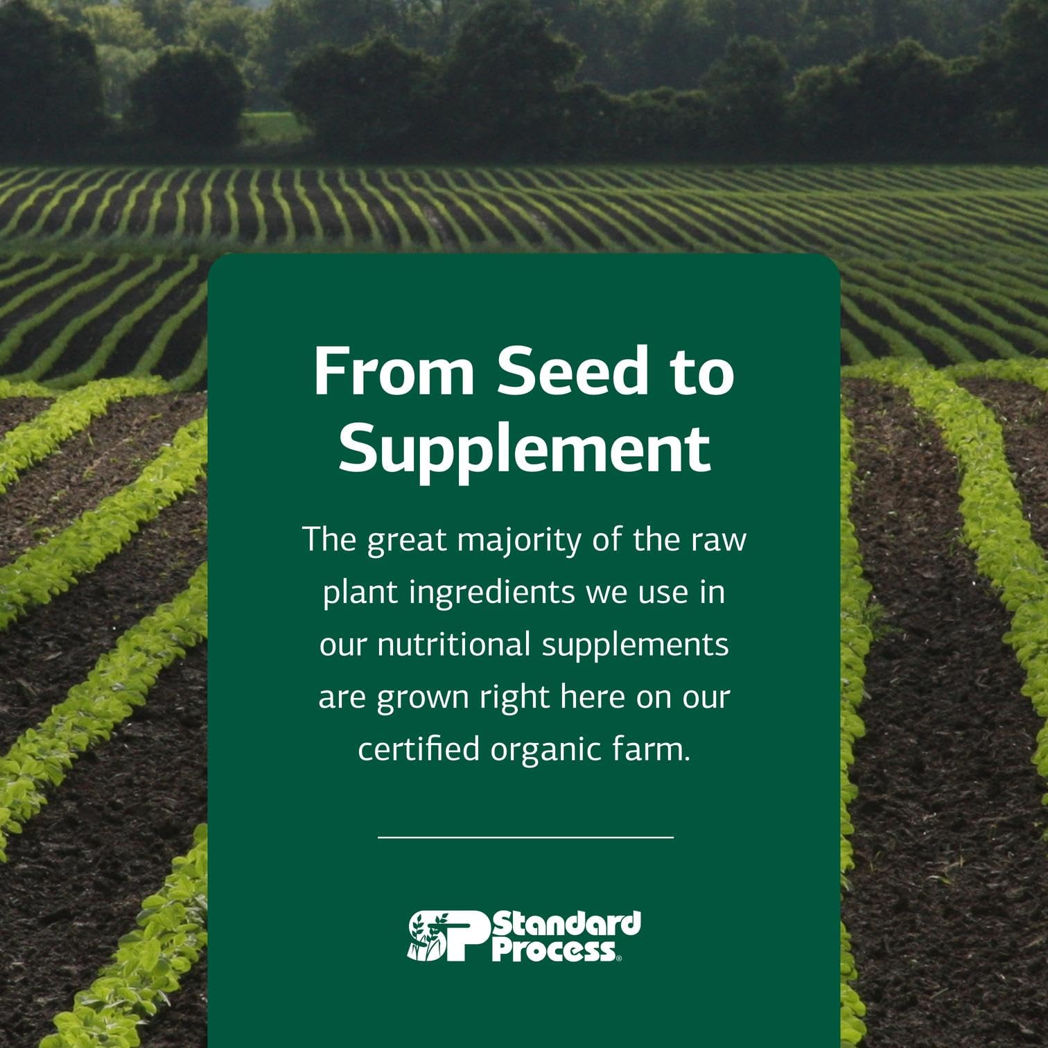 general wellness supplement for energy