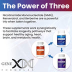 GENEX NMN for enhanced energy levels
