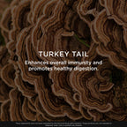Genius Brand turkey tail extract