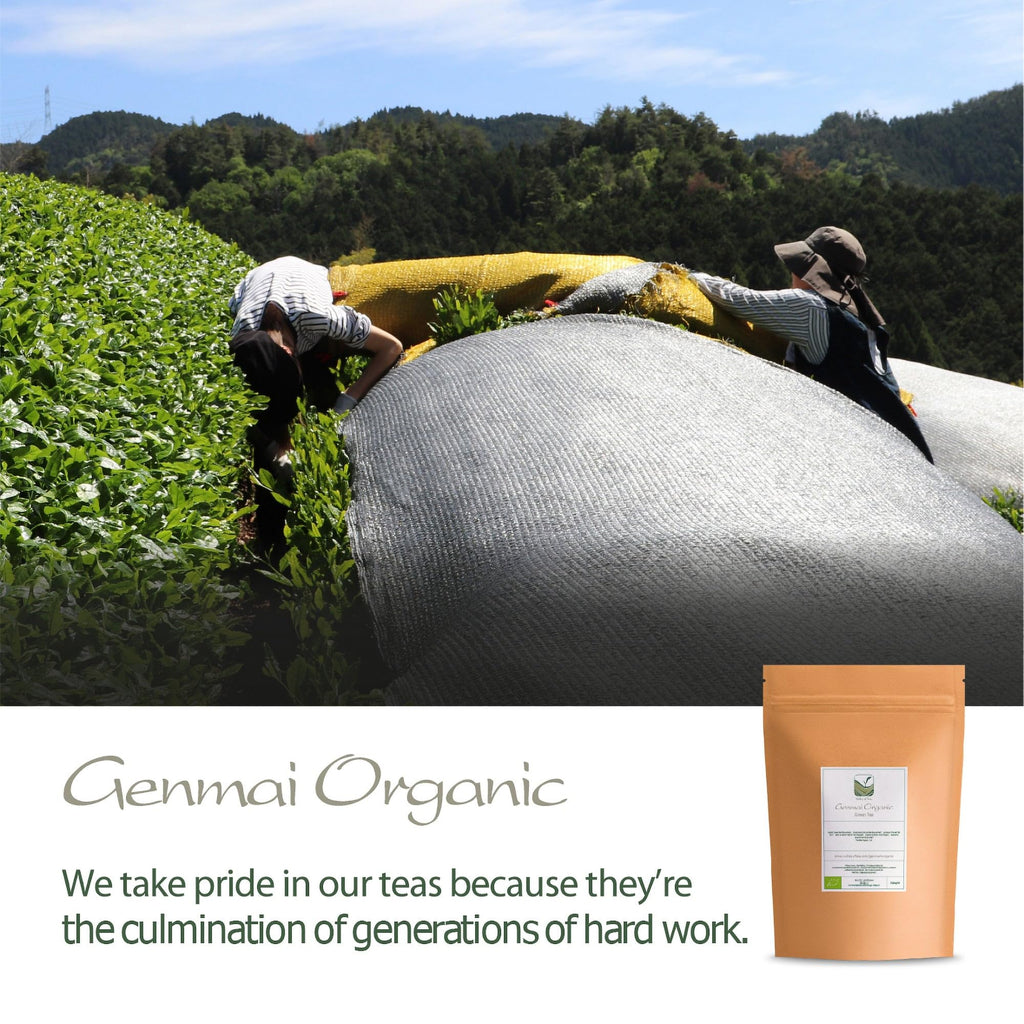 genmaicha green tea for relaxation
