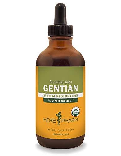 gentian extract for digestive health