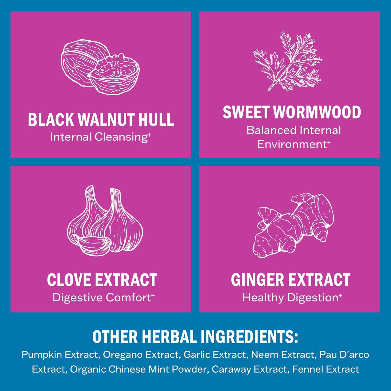 gentle cleanse for better digestion