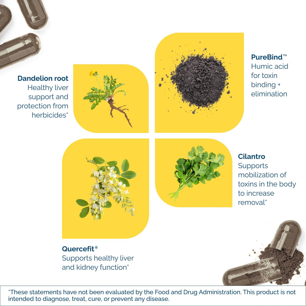 Gentle detox tea for overall wellness