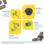 Gentle detox tea for overall wellness