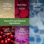 gentle detox with psyllium husk