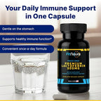 gentle iron supplement for digestion