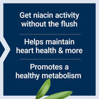 Gentle on stomach niacin supplement